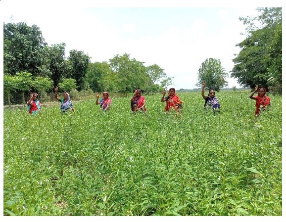 Home | GCA - Project